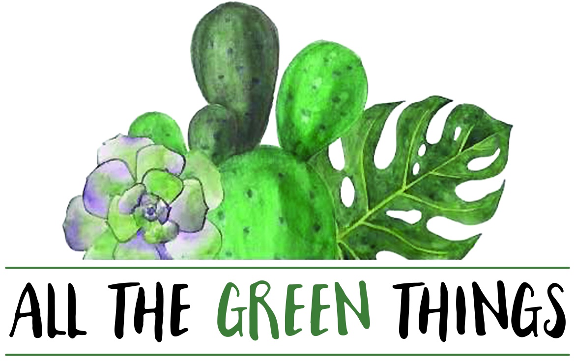 Shopping | West Village